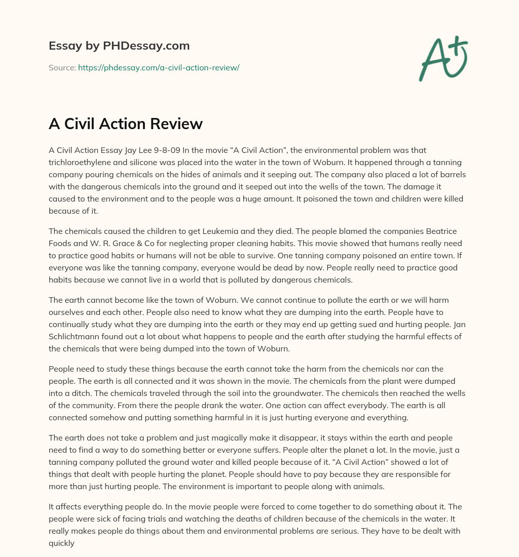 A Civil Action Review (500 Words) - PHDessay.com