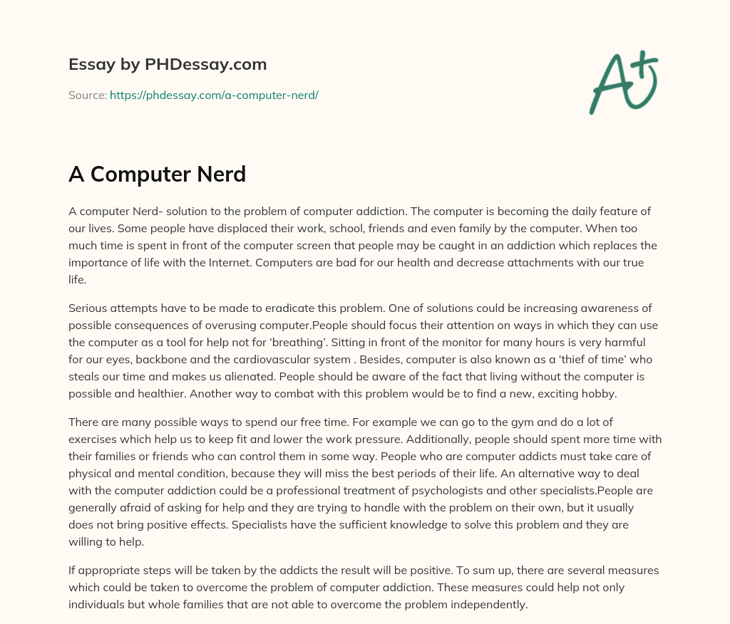A Computer Nerd (400 Words) - PHDessay.com