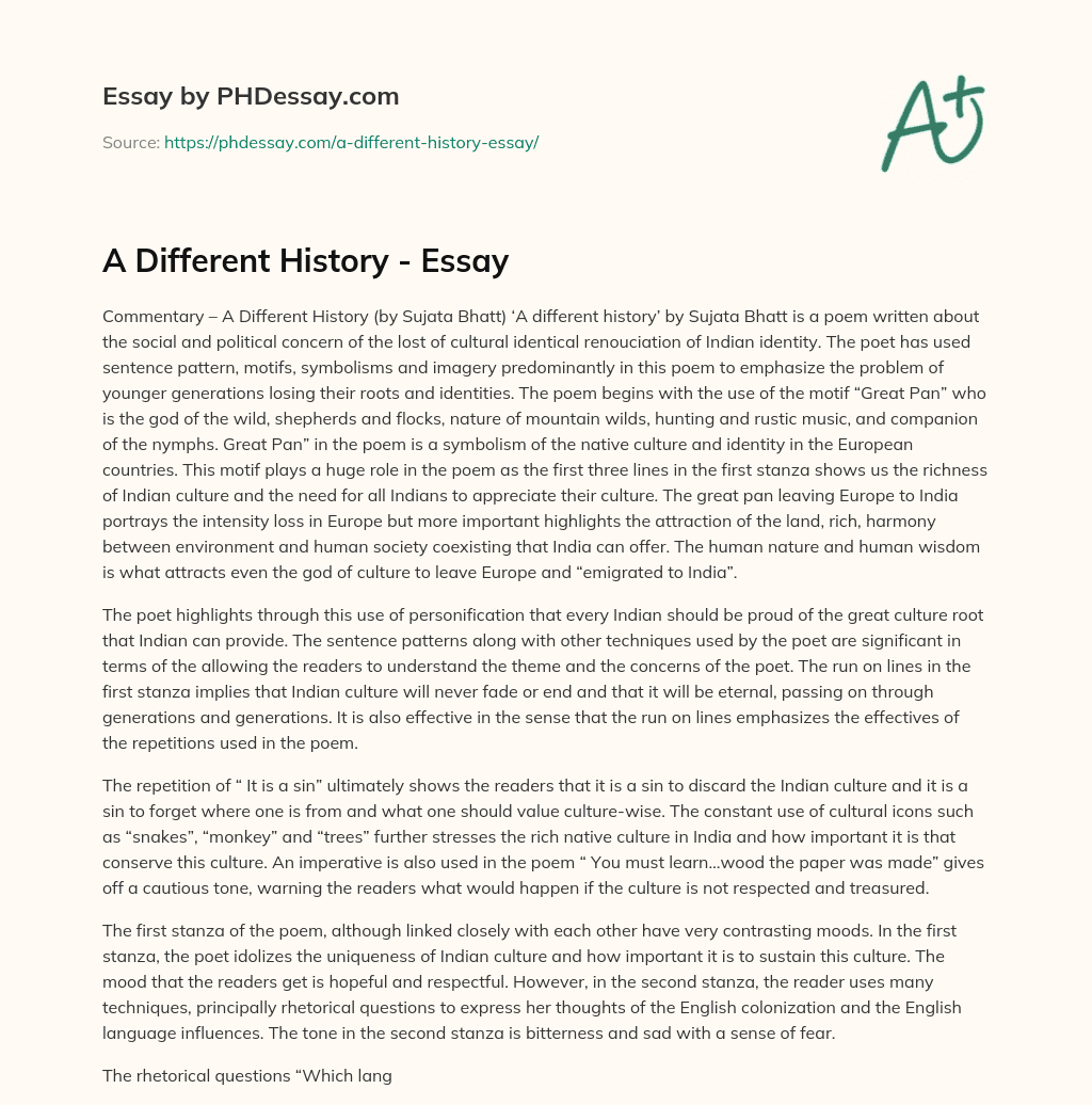 A Different History - Essay - PHDessay.com