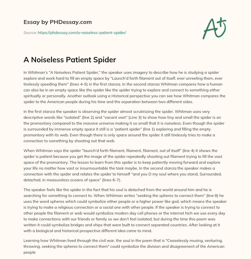 A Noiseless Patient Spider Analysis And Summary Essay (600 Words ...