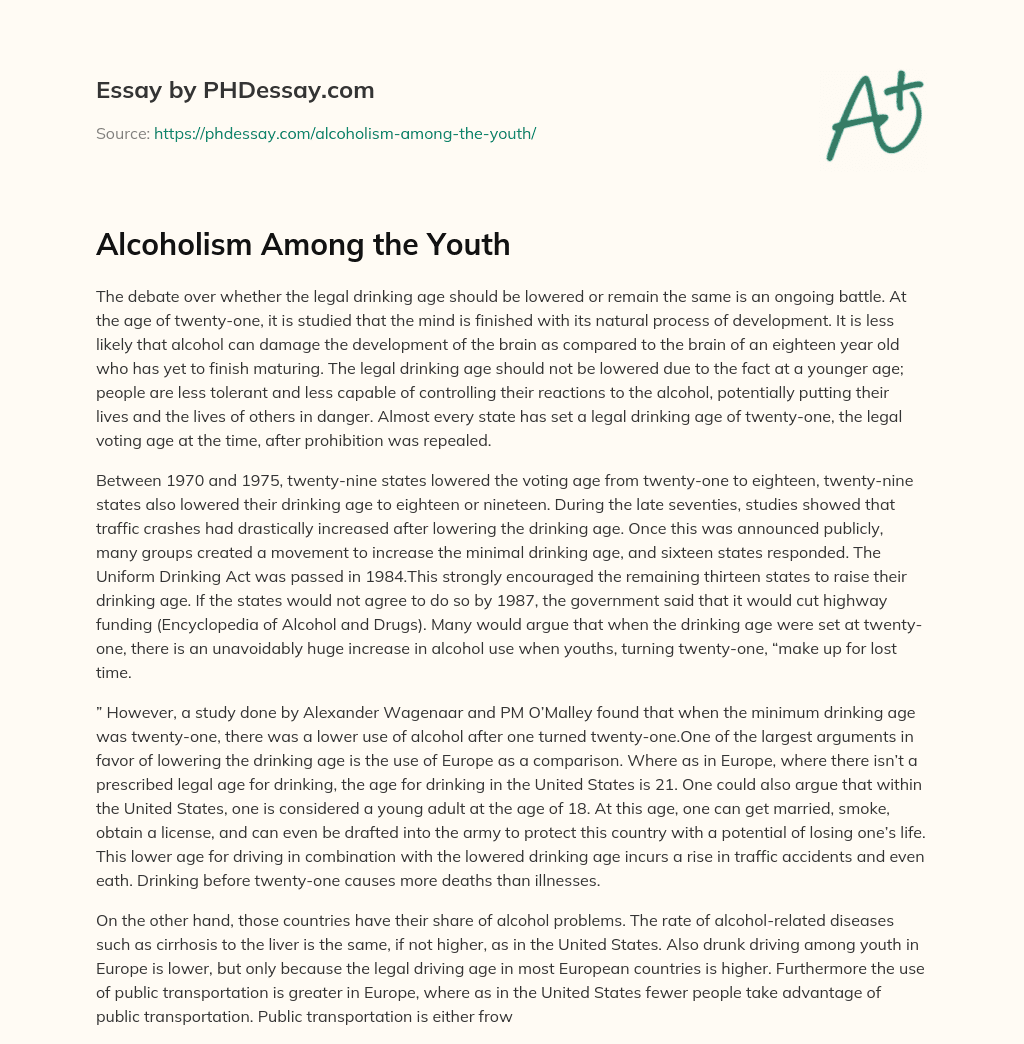 Alcoholism Among the Youth - PHDessay.com