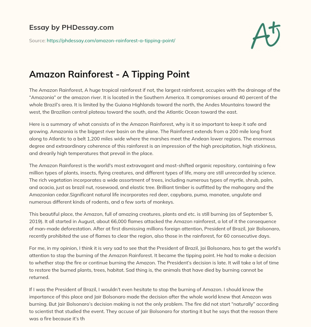 Amazon Rainforest - A Tipping Point - PHDessay.com