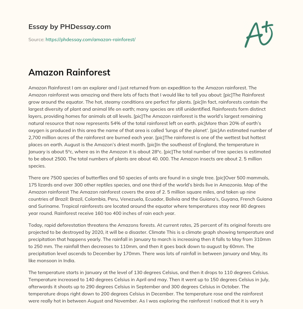 Amazon Rainforest - PHDessay.com