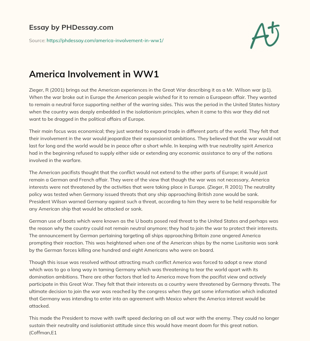 America Involvement in WW1 - PHDessay.com