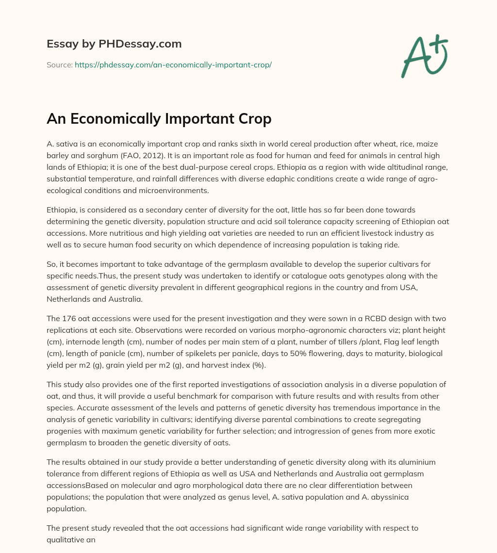 An Economically Important Crop - PHDessay.com