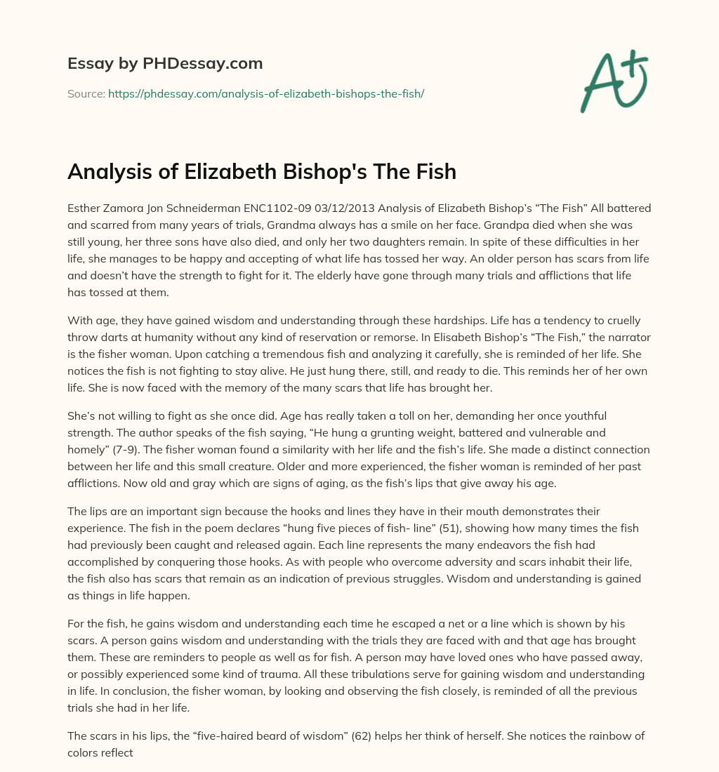 Analysis Of Elizabeth Bishop'S The Fish Essay Example (600 Words ...