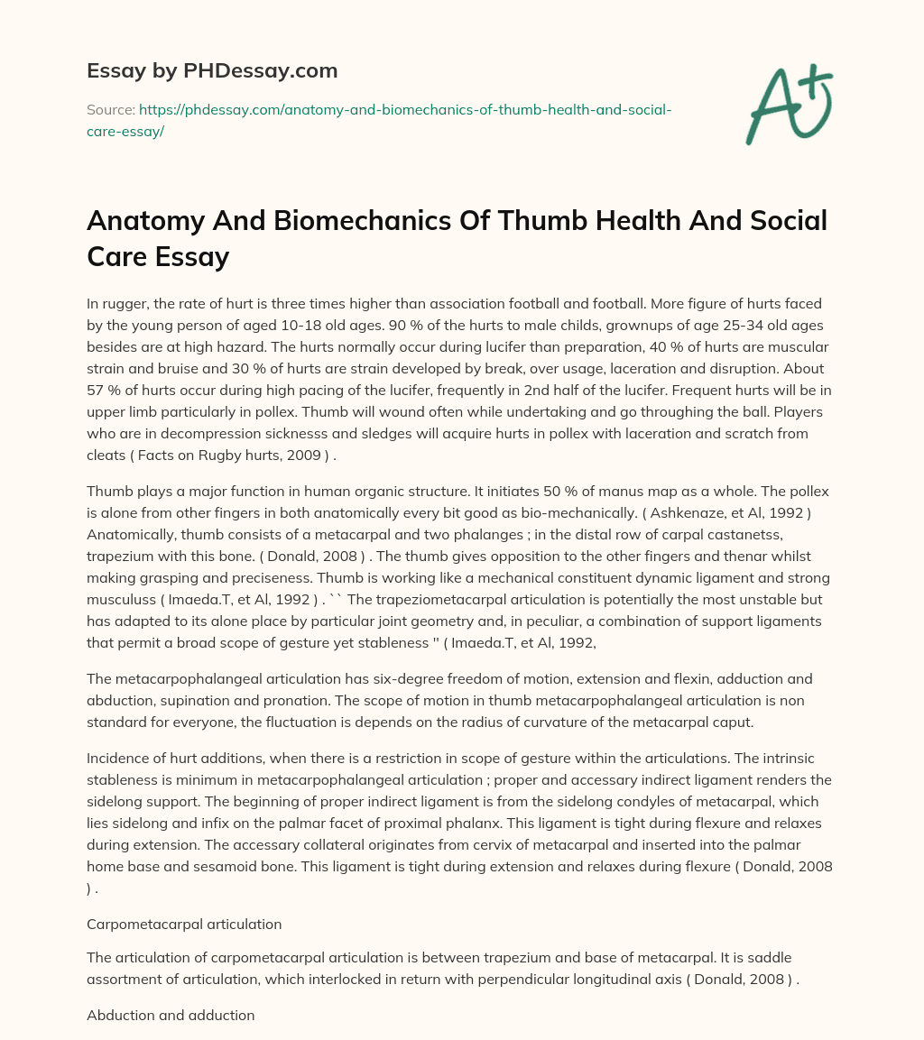 Anatomy And Biomechanics Of Thumb Health And Social Care Essay ...
