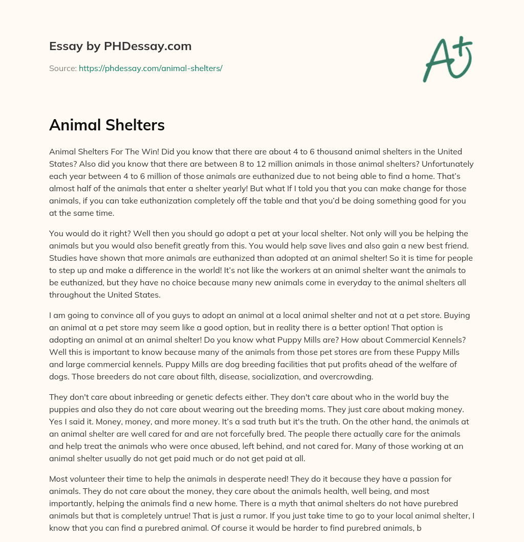 Animal Shelters - PHDessay.com