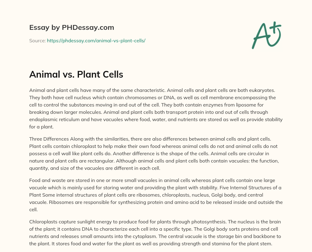 Animal vs. Plant Cells (300 Words) - PHDessay.com