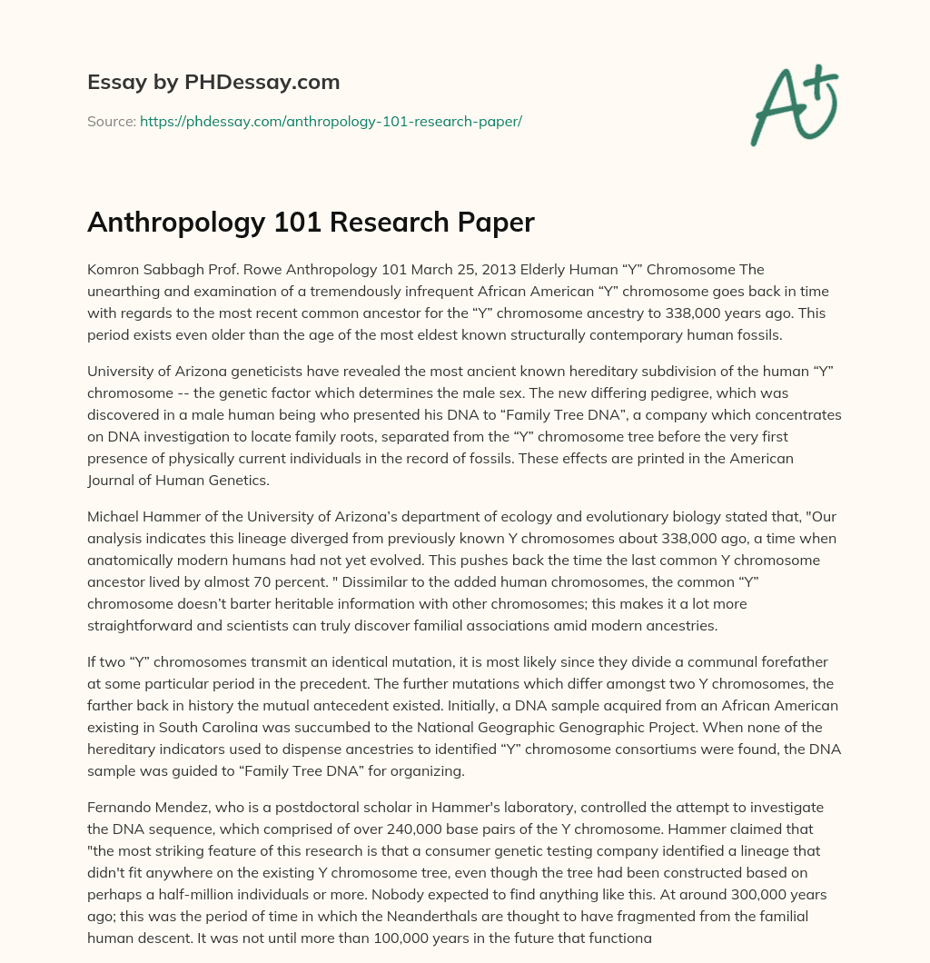 Anthropology 101 Research Paper - PHDessay.com