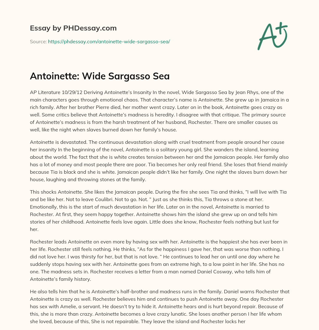 Antoinette: Wide Sargasso Sea - PHDessay.com