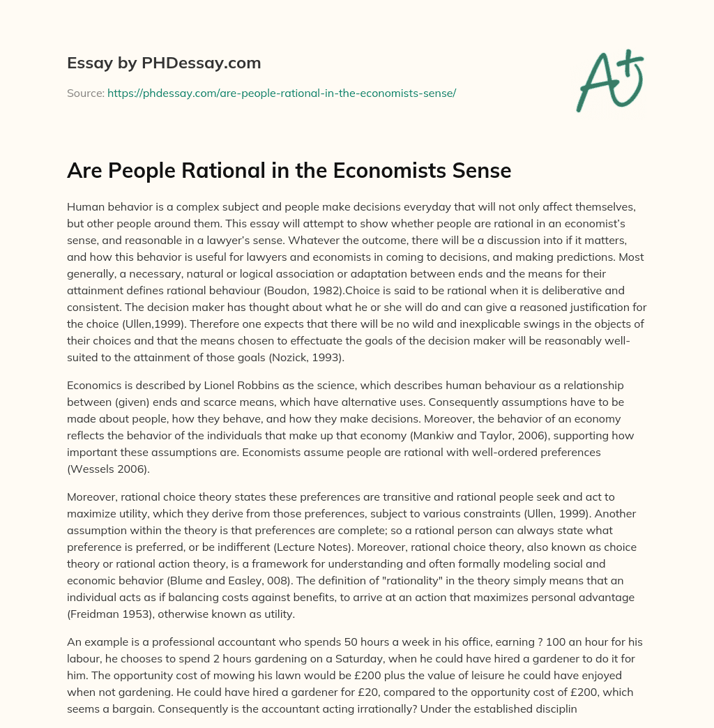 Are People Rational in the Economists Sense - PHDessay.com