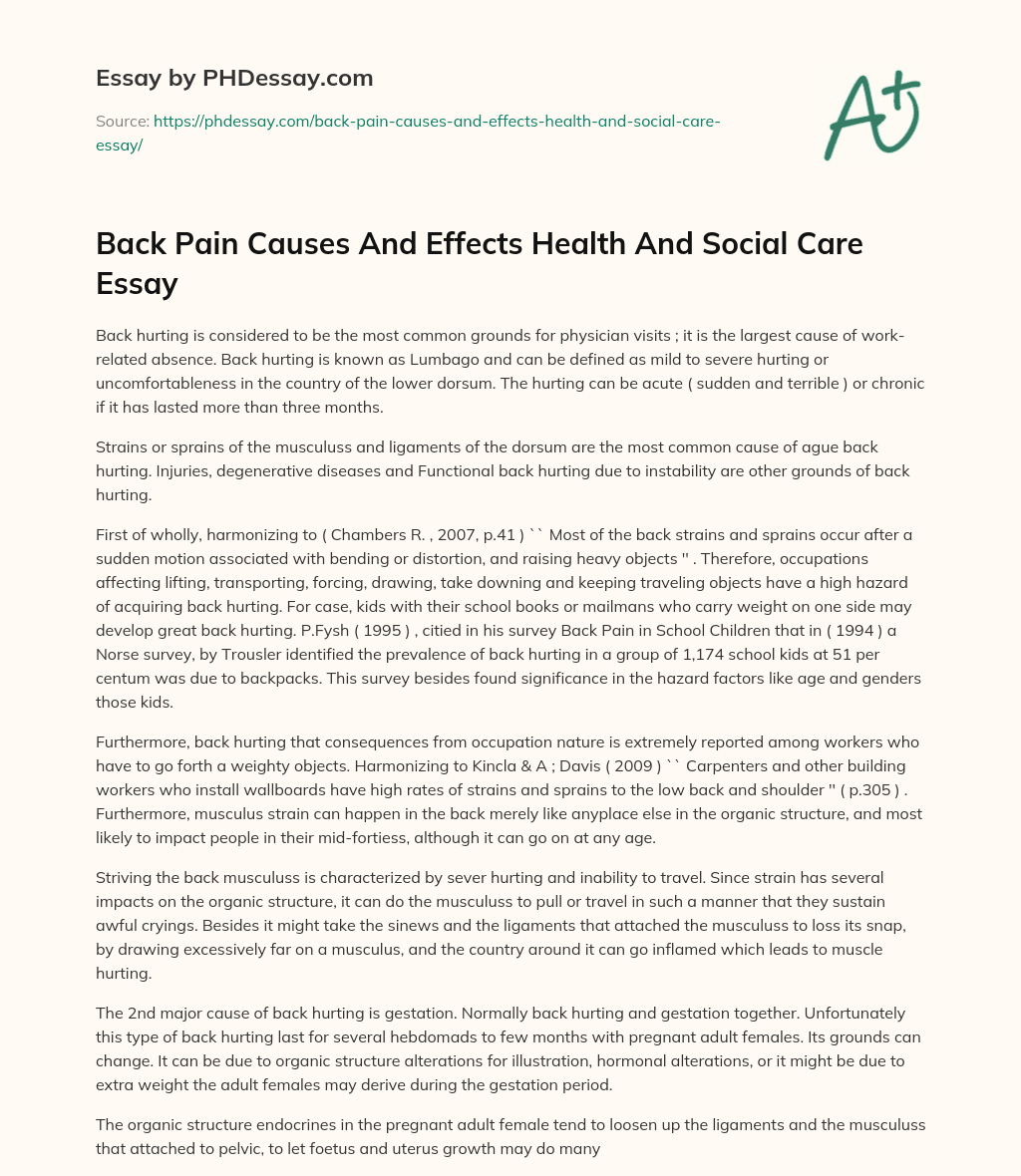 Back Pain Causes And Effects Health And Social Care Essay - PHDessay.com