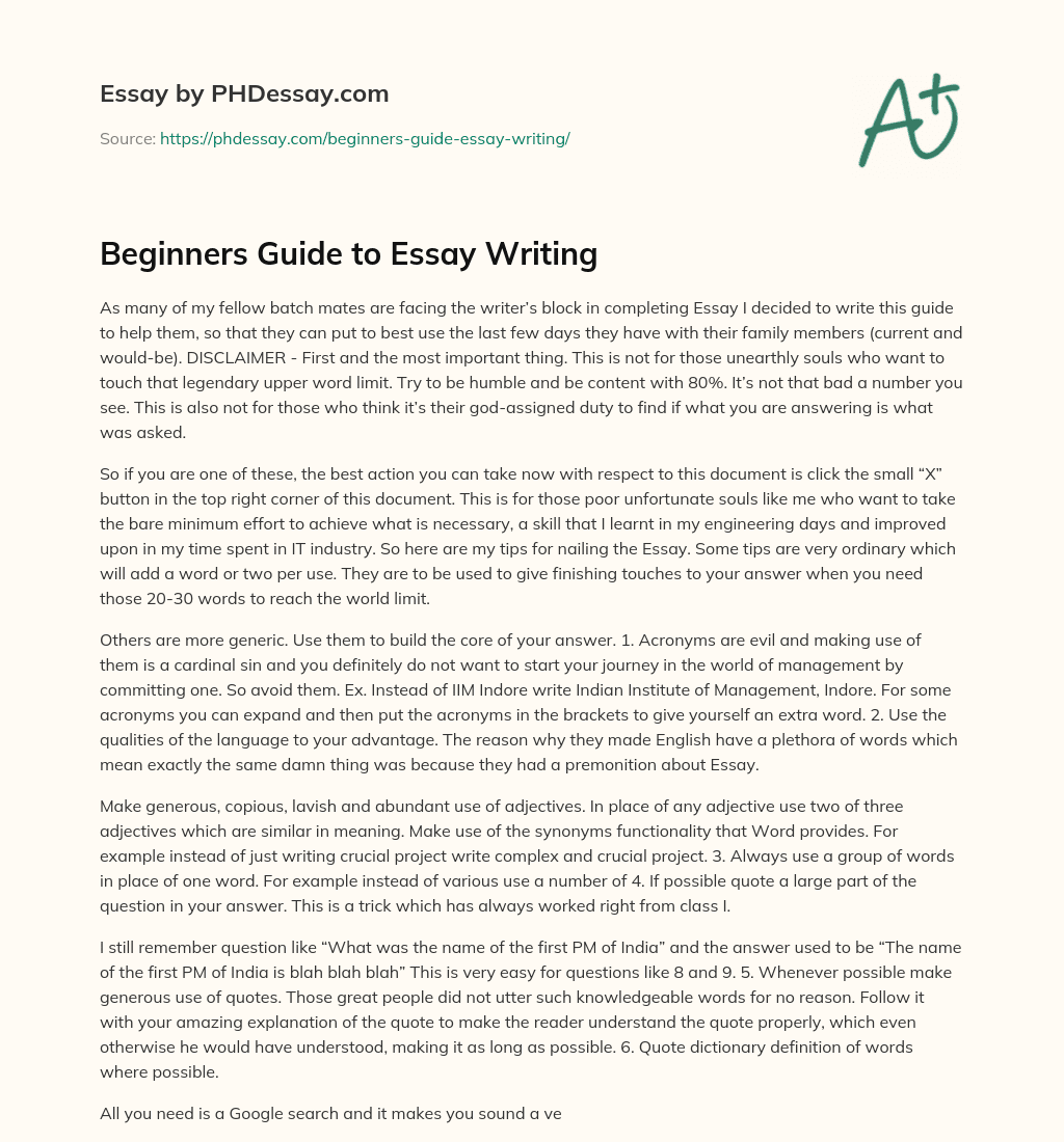 Beginners Guide to Essay Writing - PHDessay.com