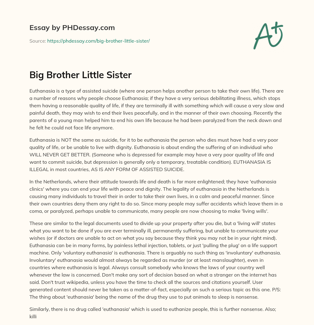 Big Brother Little Sister (600 Words) - PHDessay.com