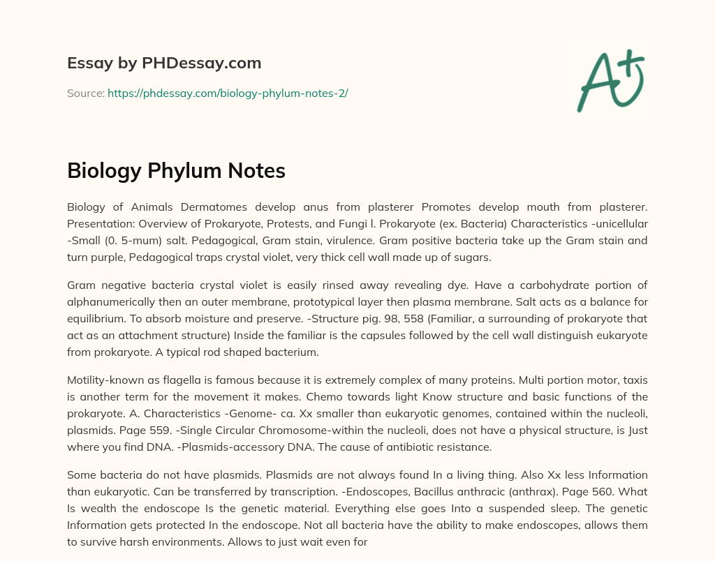 Biology Phylum Notes (300 Words) - PHDessay.com