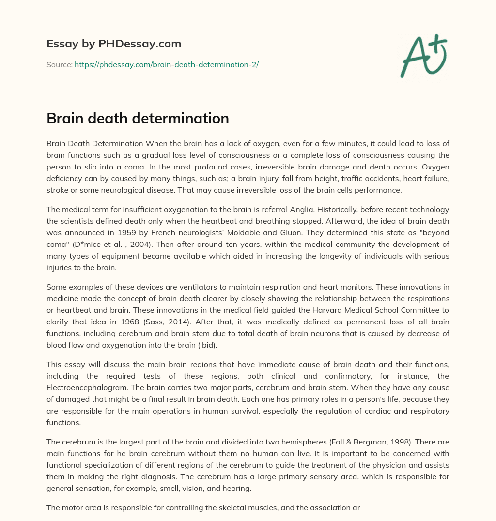 Brain death determination - PHDessay.com