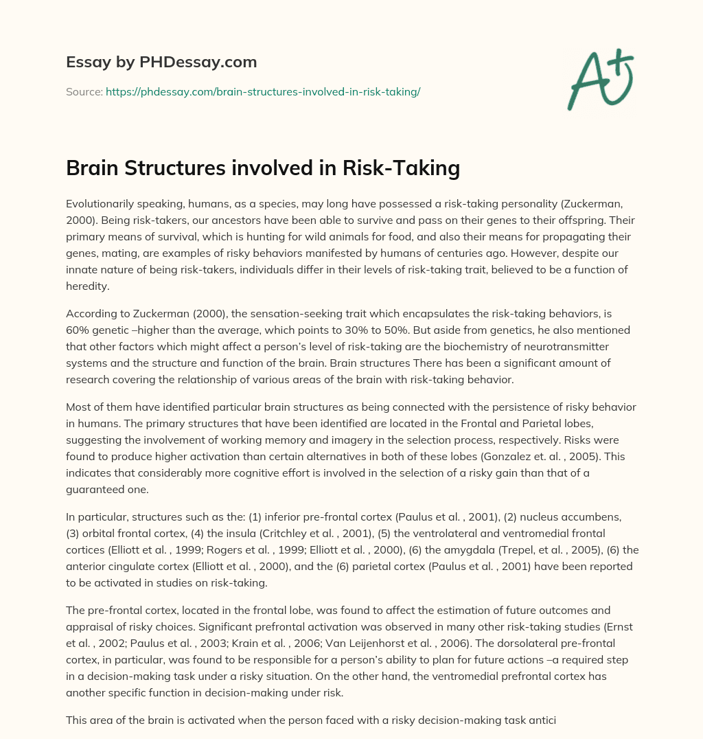 Brain Structures involved in Risk-Taking - PHDessay.com
