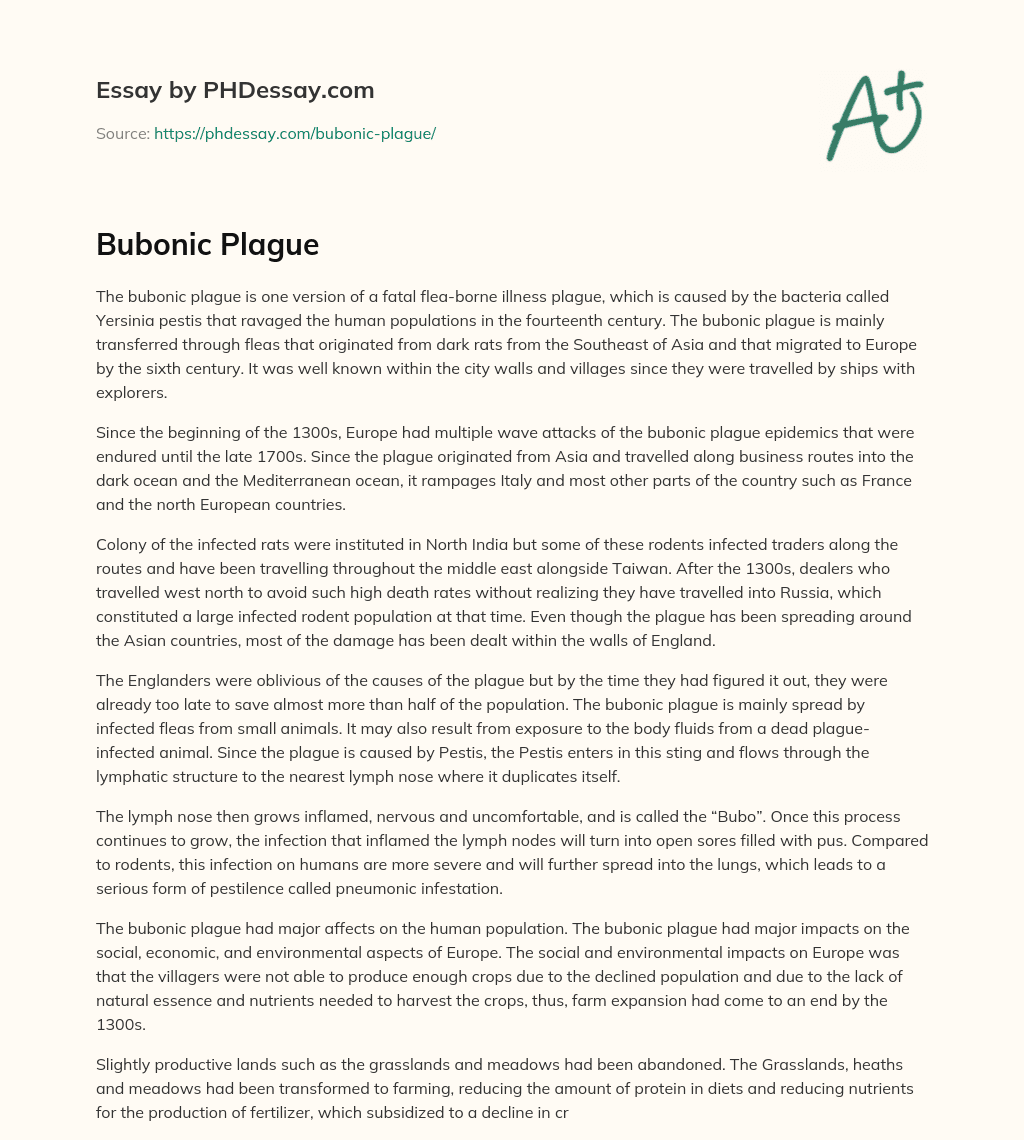 Bubonic Plague - PHDessay.com