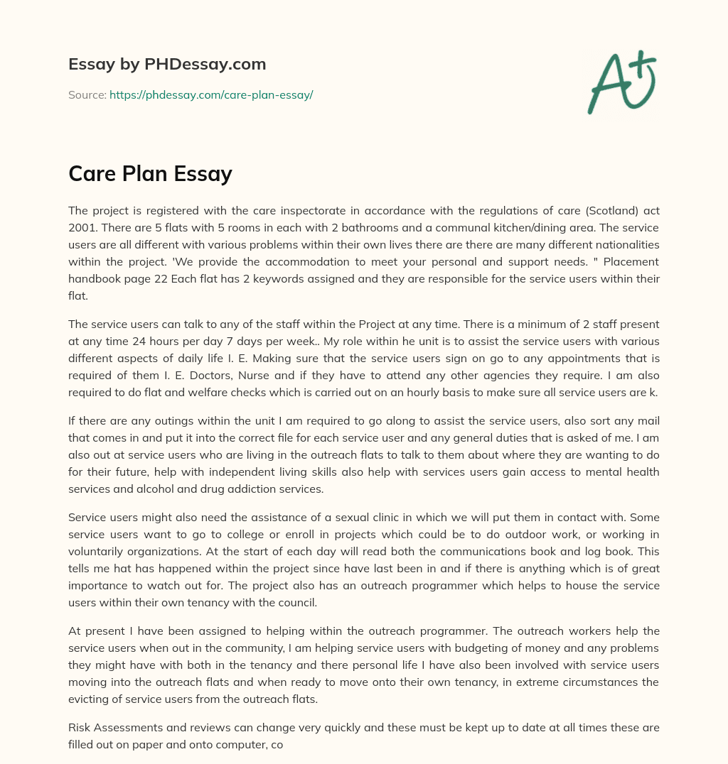 Care Plan Essay - PHDessay.com
