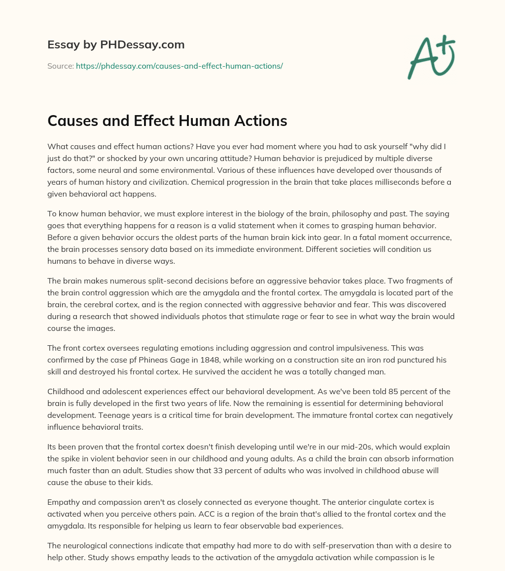 Causes and Effect Human Actions (500 Words) - PHDessay.com