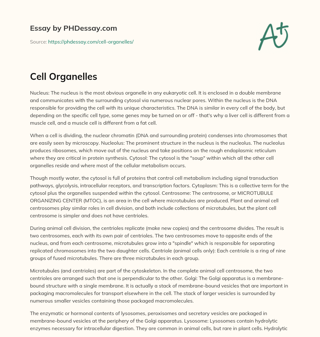Cell Organelles - PHDessay.com