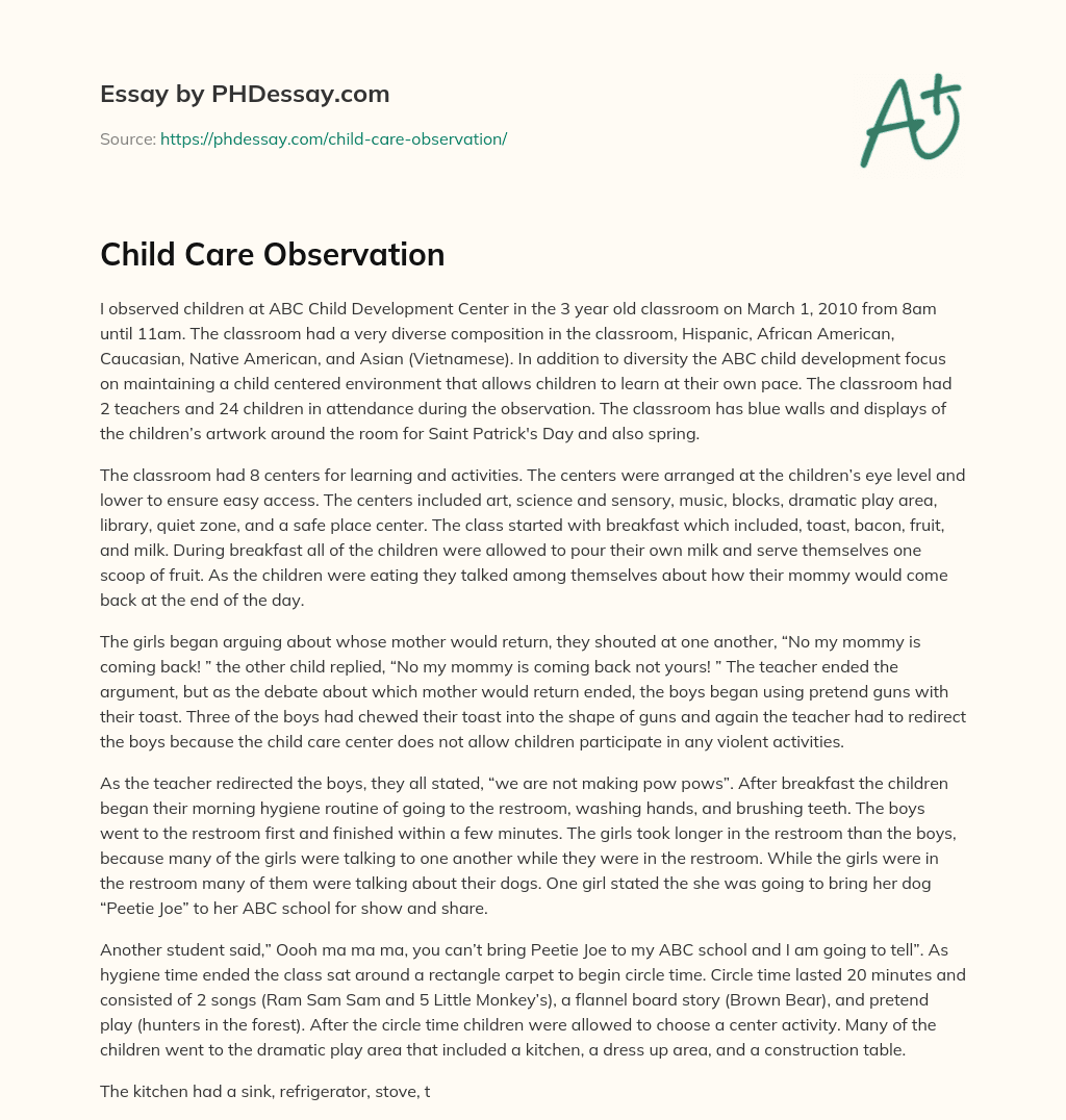 Child Care Observation - PHDessay.com