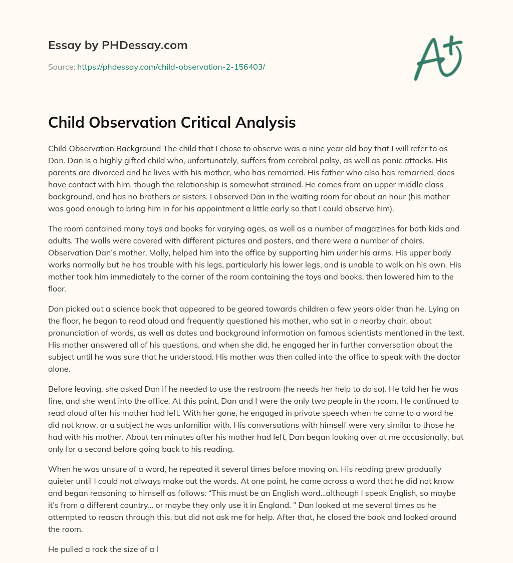 Child Observation Critical Analysis - PHDessay.com