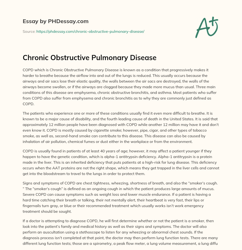 Chronic Obstructive Pulmonary Disease - PHDessay.com