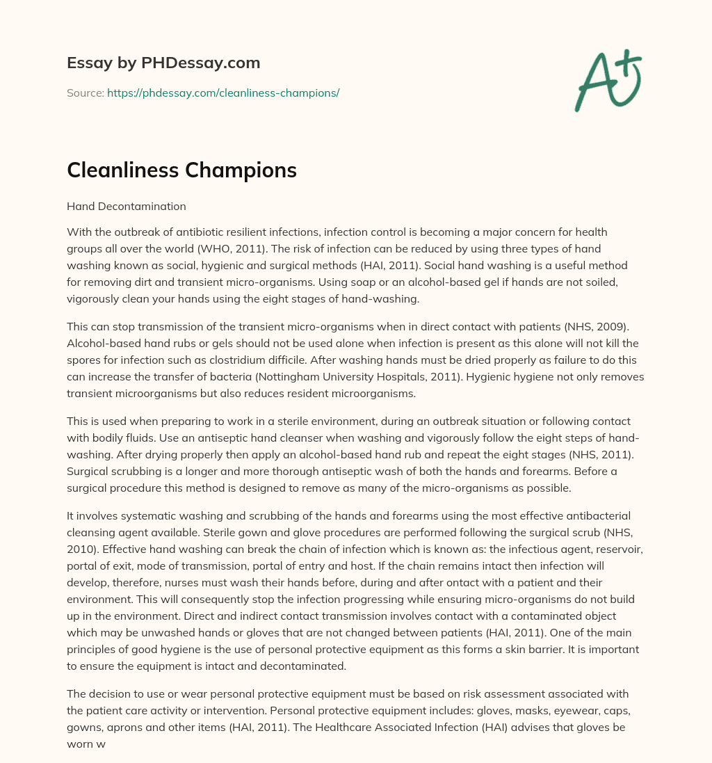 Cleanliness Champions (600 Words) - PHDessay.com