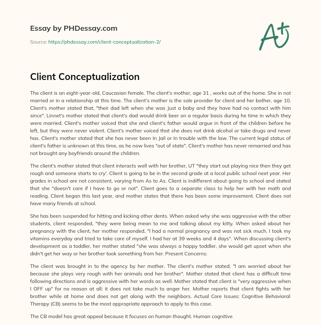 Client Conceptualization - PHDessay.com