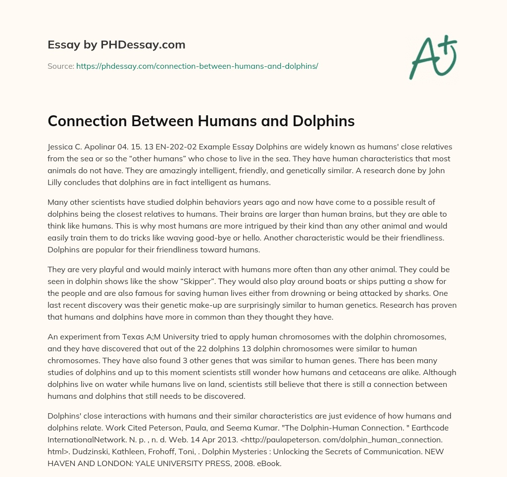 Connection Between Humans and Dolphins (400 Words) - PHDessay.com
