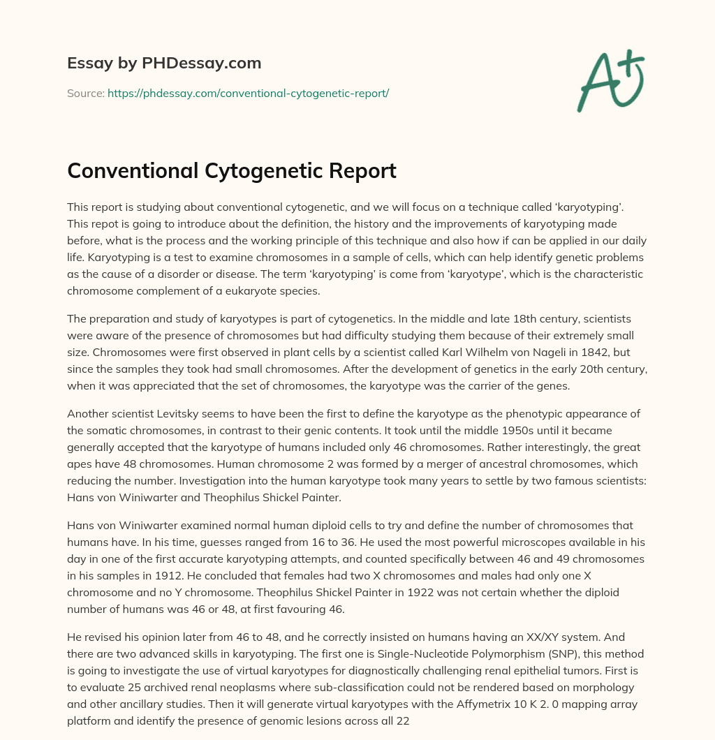 Conventional Cytogenetic Report (600 Words) - PHDessay.com