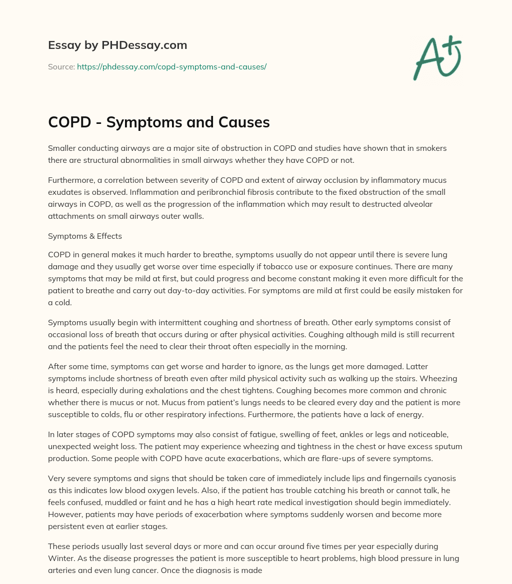 COPD - Symptoms and Causes - PHDessay.com