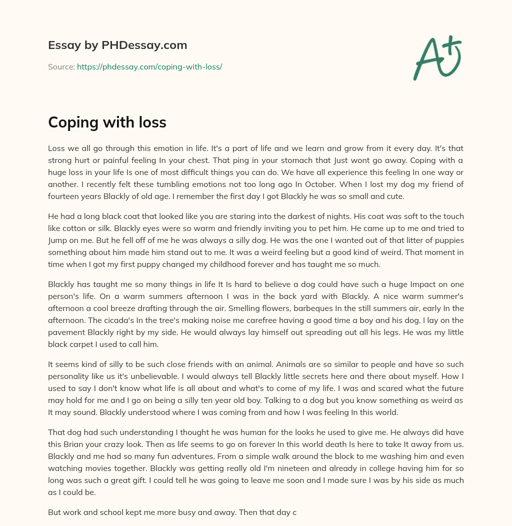 Coping with loss - PHDessay.com