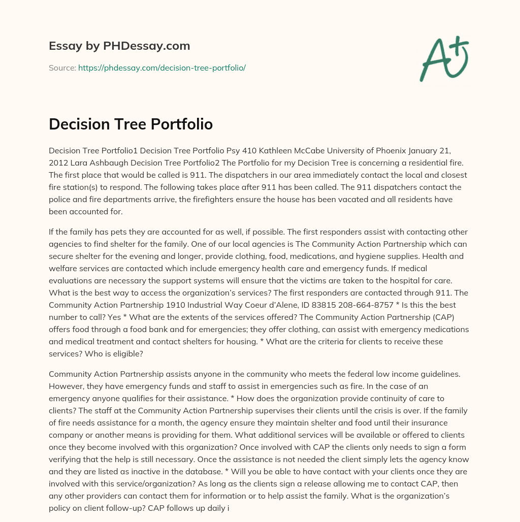Decision Tree Portfolio (600 Words) - PHDessay.com