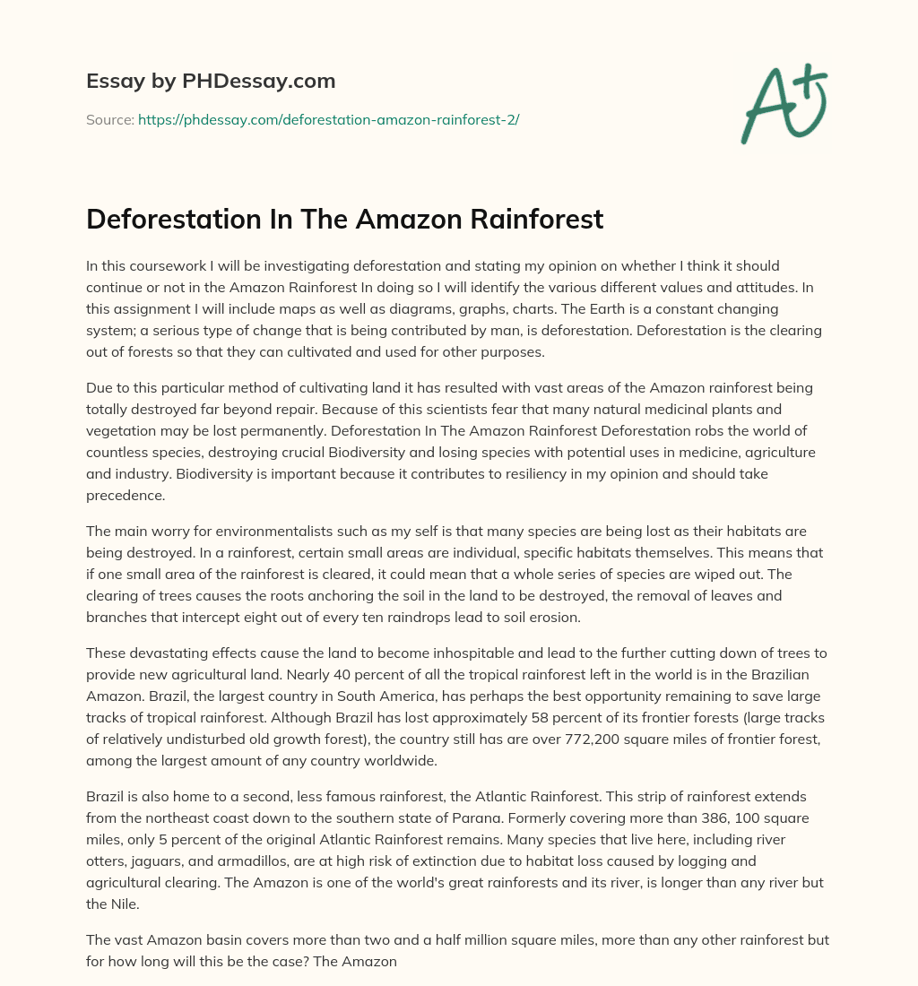 Deforestation In The Amazon Rainforest - PHDessay.com