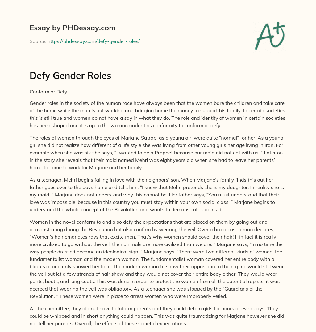 Defy Gender Roles - PHDessay.com