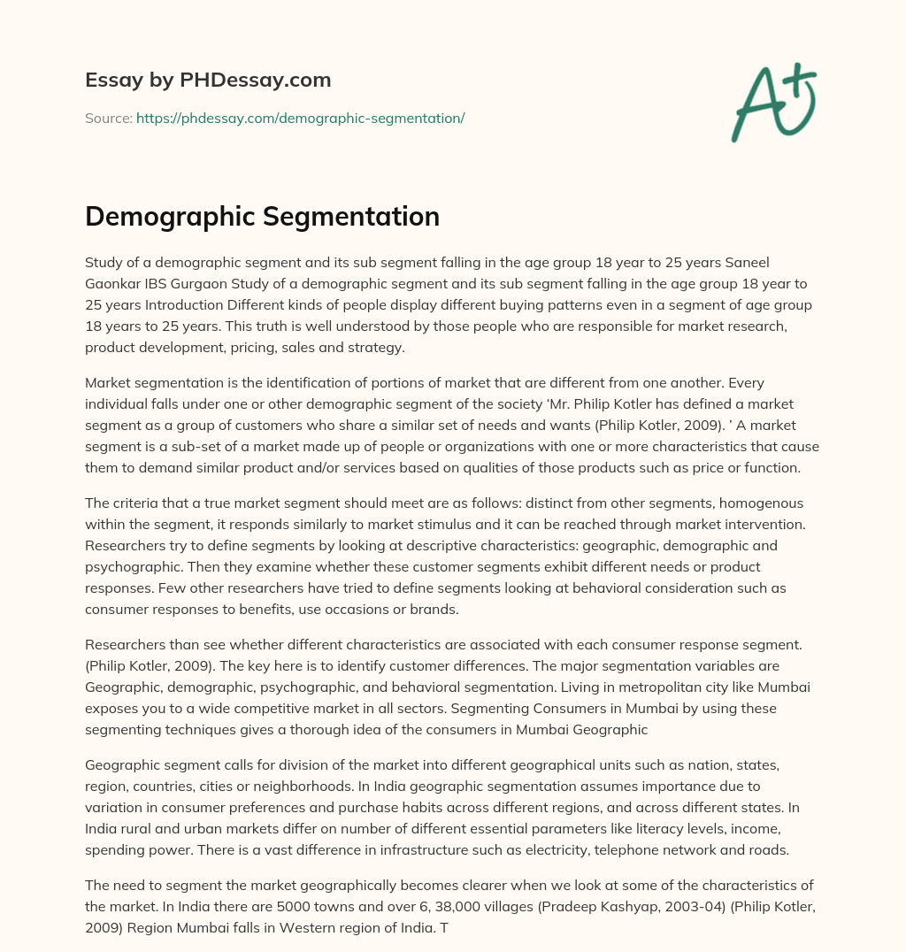 Demographic Segmentation Essay Example - PHDessay.com