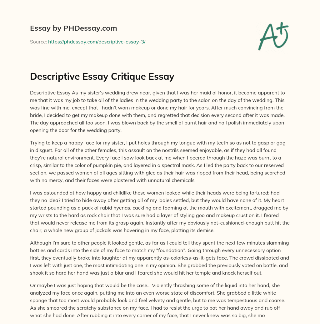 Descriptive Essay Critique Essay - PHDessay.com