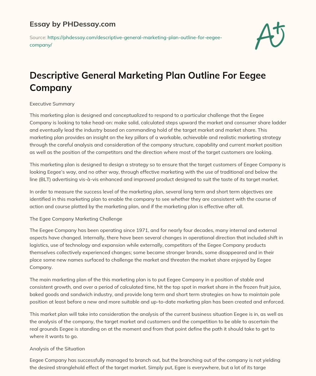 Descriptive General Marketing Plan Outline For Eegee Company - PHDessay.com