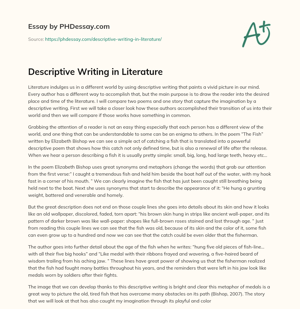 Descriptive Writing in Literature - PHDessay.com