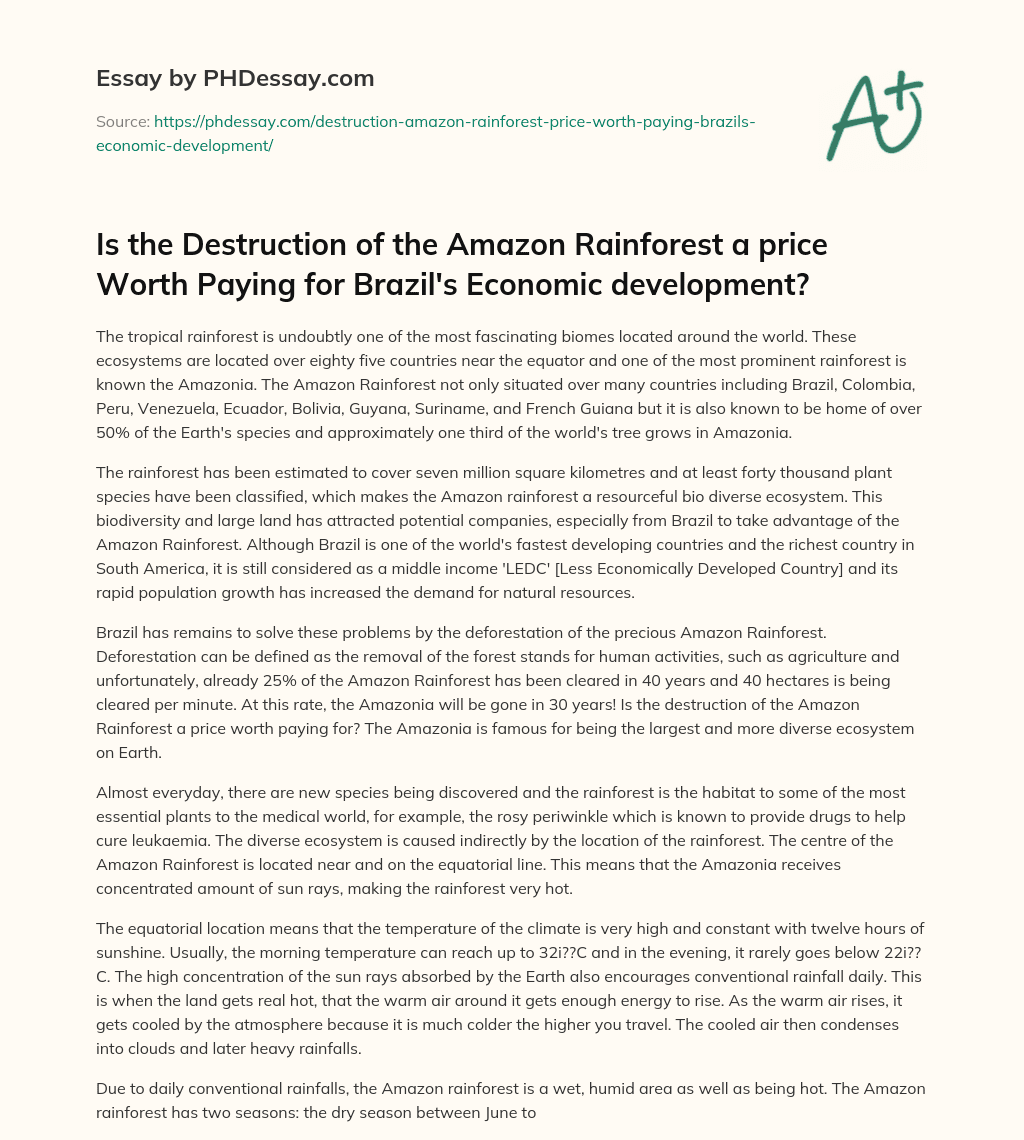 Is the Destruction of the Amazon Rainforest a price Worth Paying for ...
