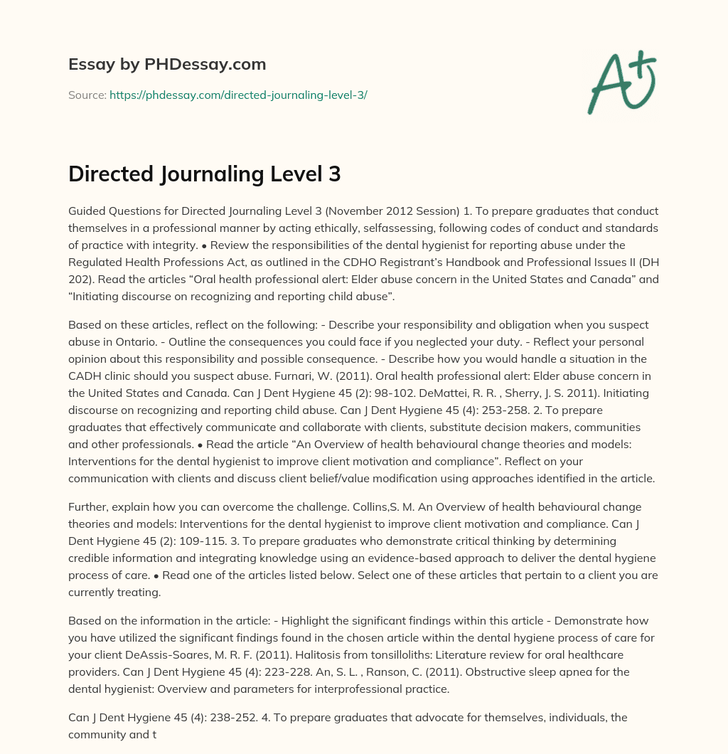 Directed Journaling Level 3 - PHDessay.com