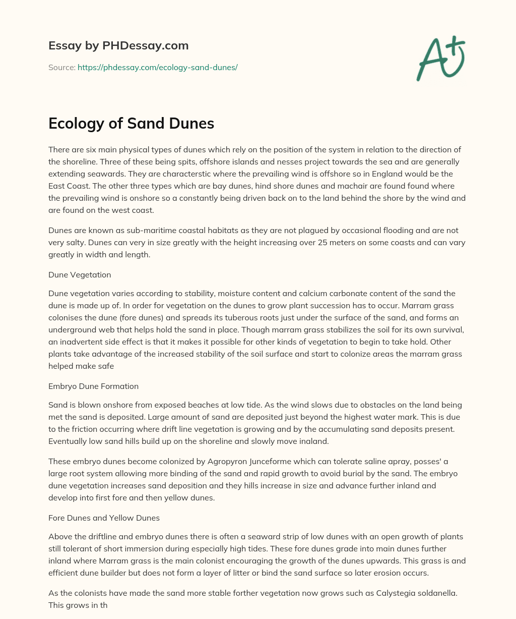 Ecology of Sand Dunes - PHDessay.com