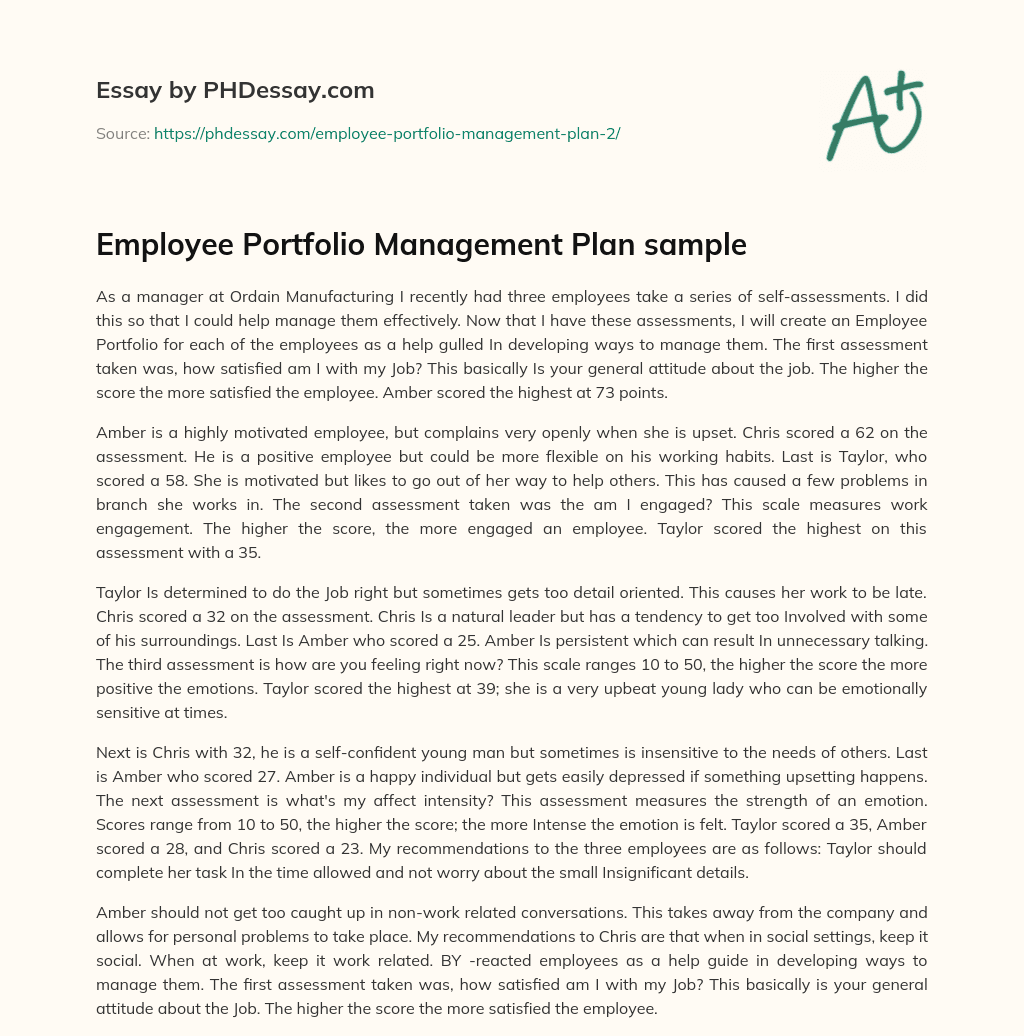 Employee Portfolio Management Plan sample (500 Words) - PHDessay.com