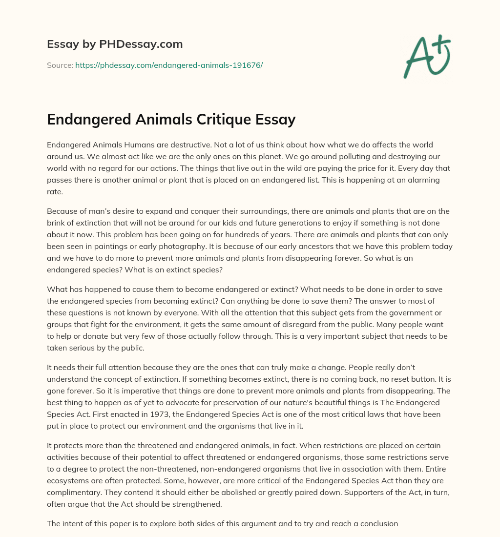Endangered Animals Critique Essay - PHDessay.com