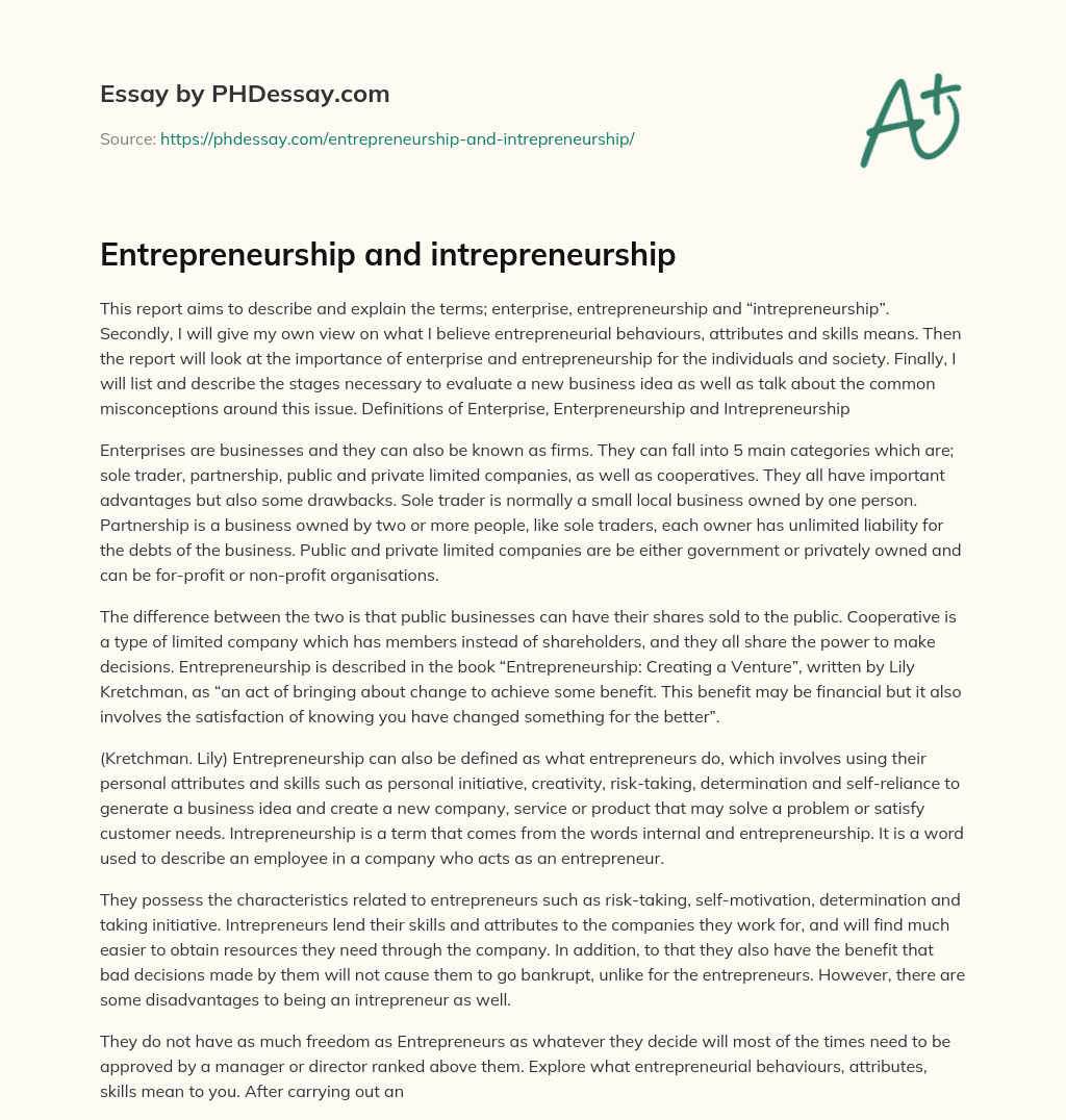 Entrepreneurship And Intrepreneurship Definition Example - PHDessay.com