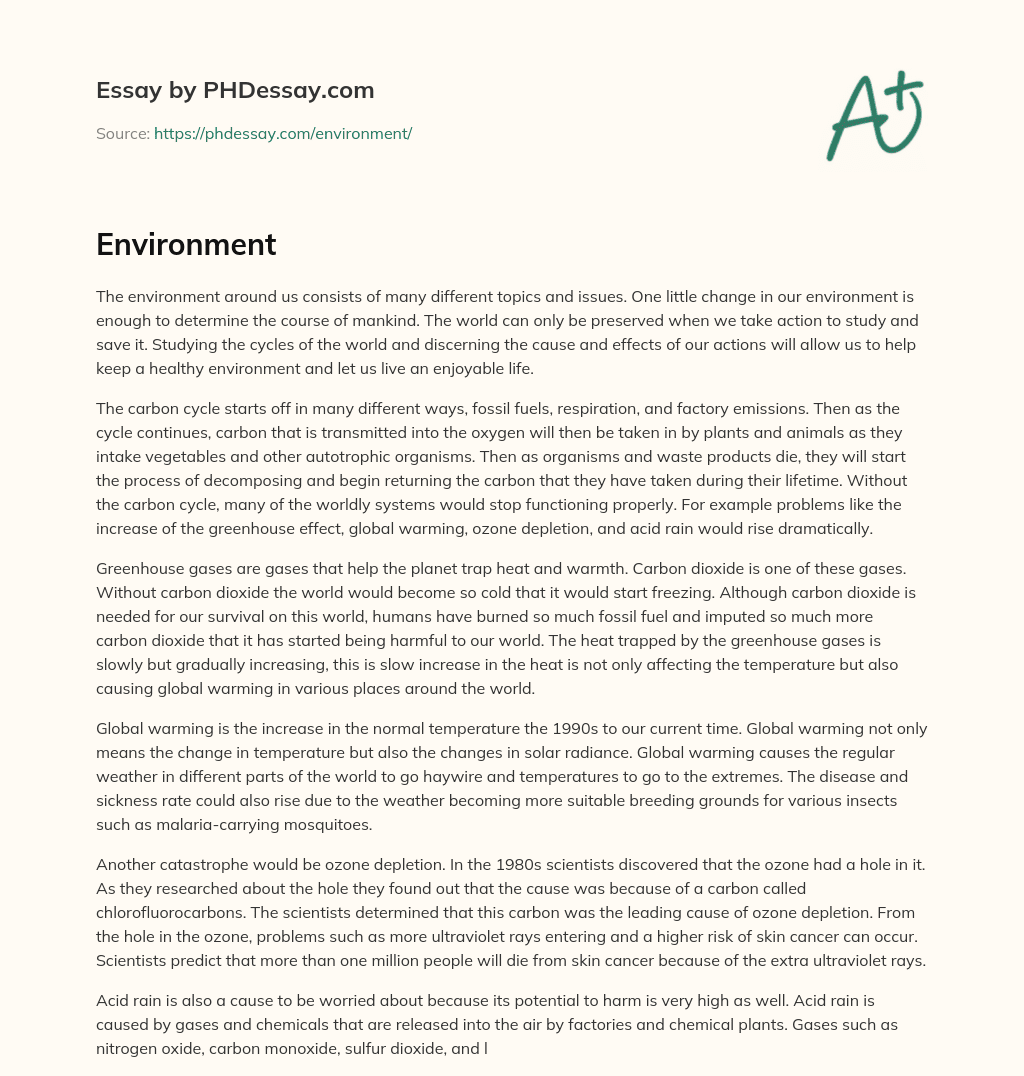 Environment - PHDessay.com