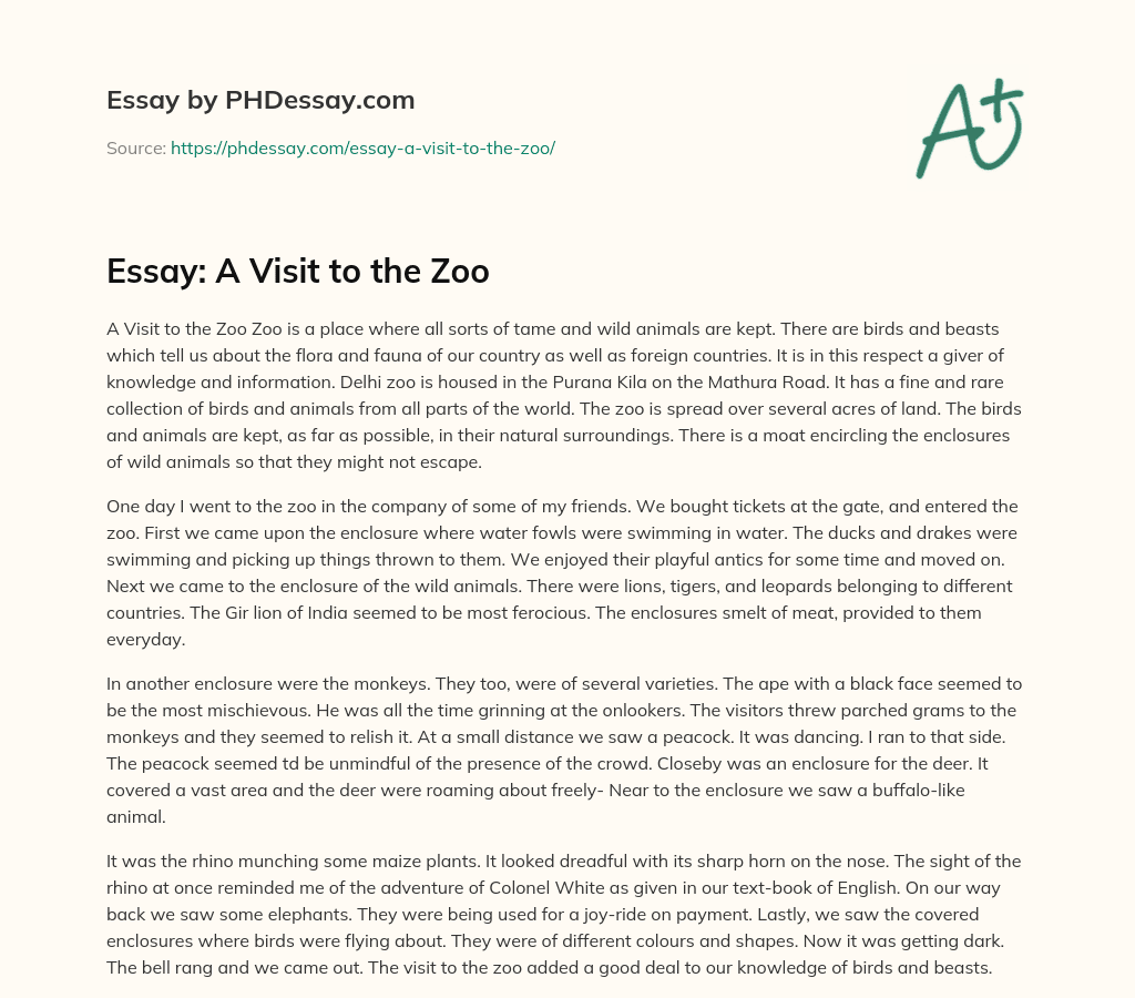 Essay: A Visit to the Zoo (400 Words) - PHDessay.com